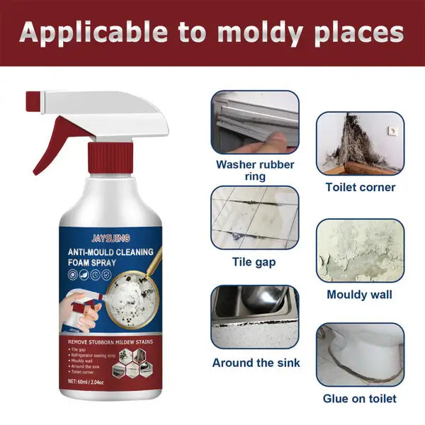 Instant Mould Remover – Nevora